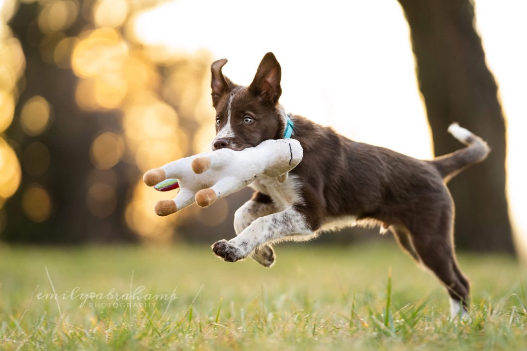 5 Types of Action Photography & Tips to Capture Them - Inspawration ...