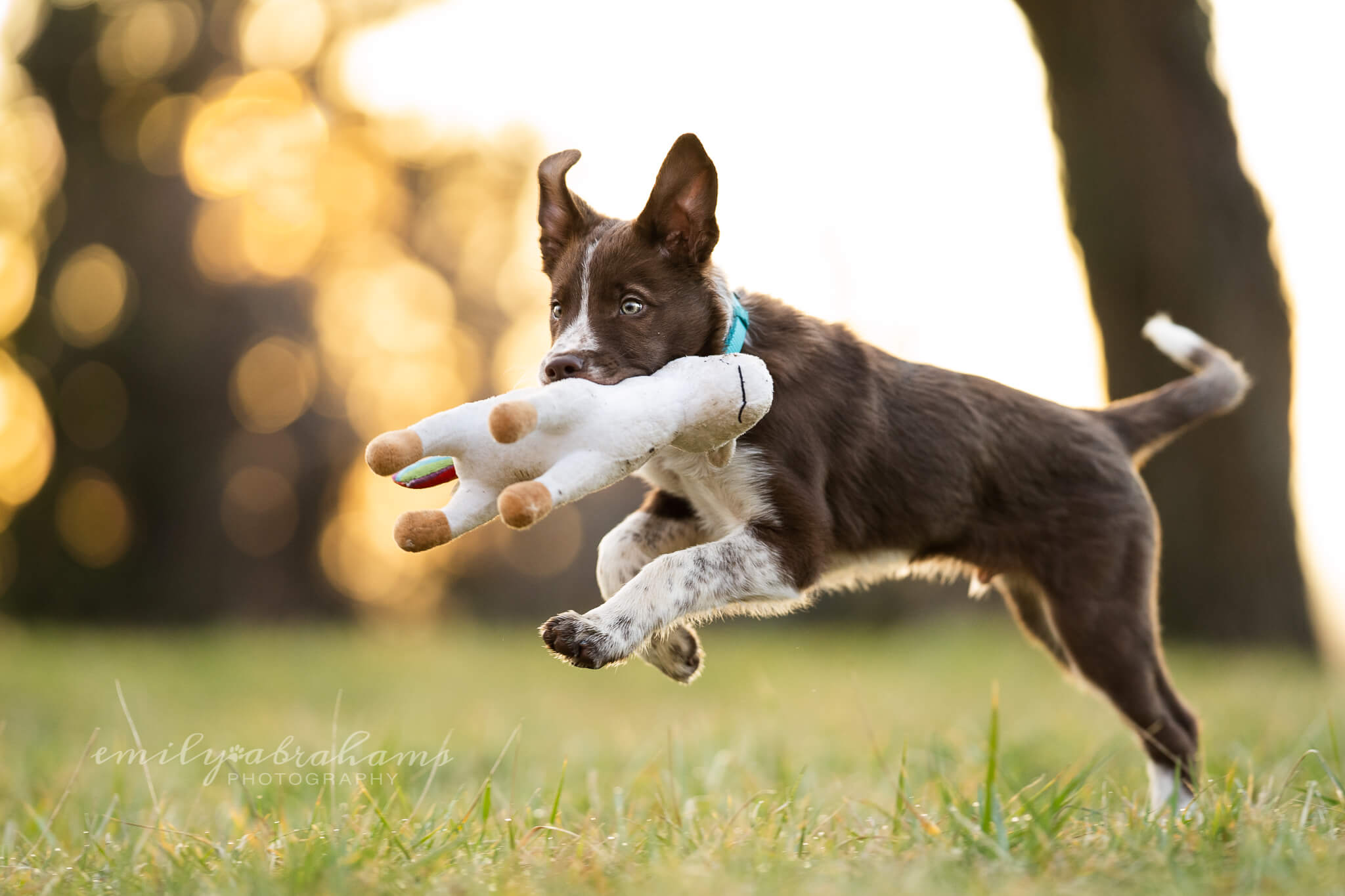 5 Types of Action Photography & Tips to Capture Them - Inspawration ...