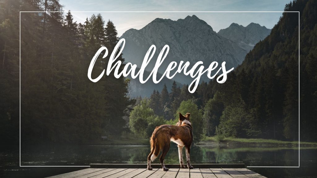 Challenges - Inspawration Photography