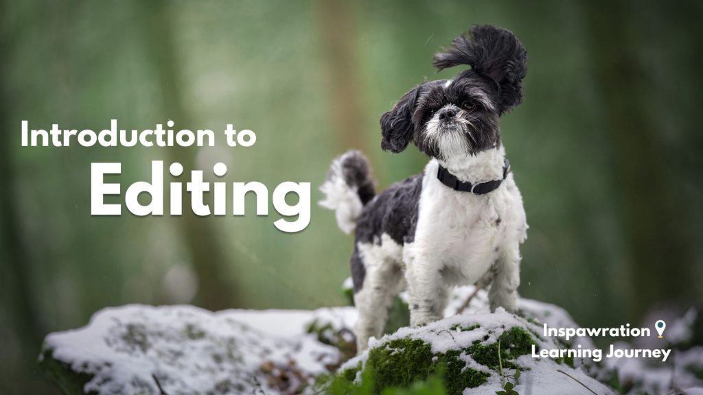 Introduction to Editing - Inspawration Photography