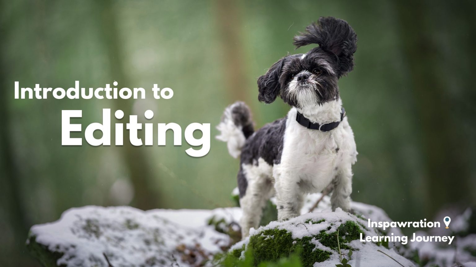 Introduction to Editing - Inspawration Photography