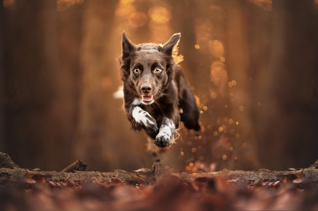 Home - Inspawration Photography