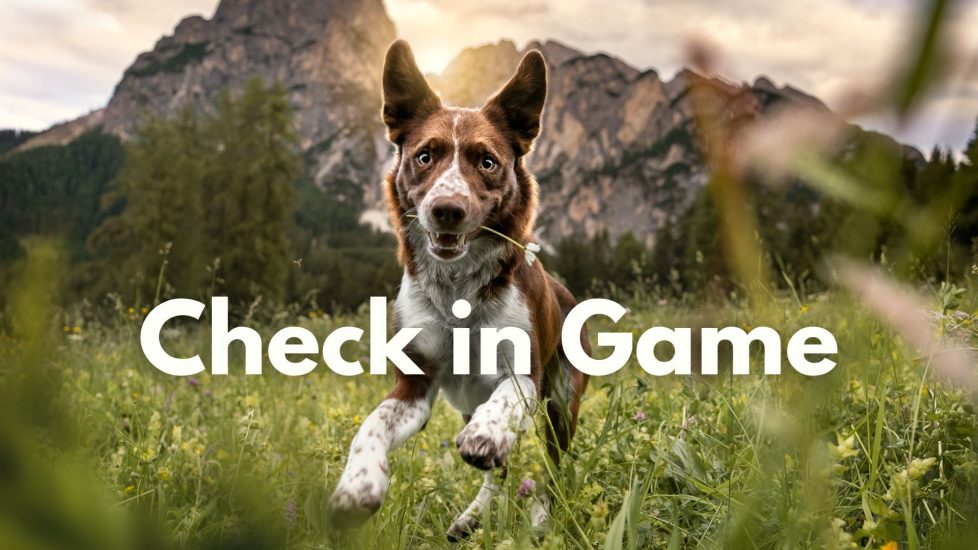 Snoot School is in Session - Inspawration Photography