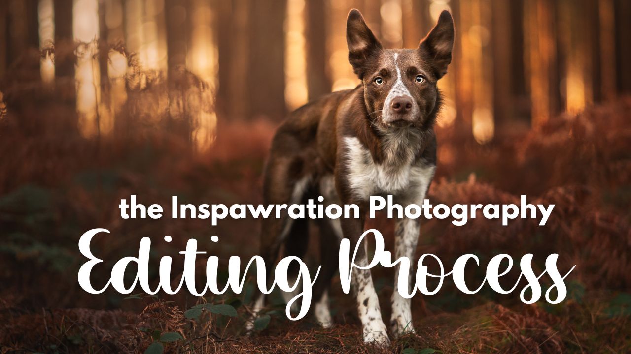 Editing: Tutorials - Inspawration Photography