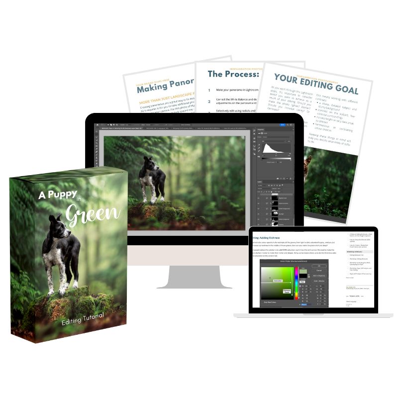 Dreaming in Green Editing Tutorial Information - Inspawration Photography