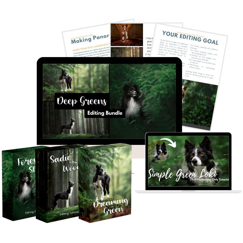Deep Green Bundle Information - Inspawration Photography Deep Green Bundle Information - Inspawration Photography