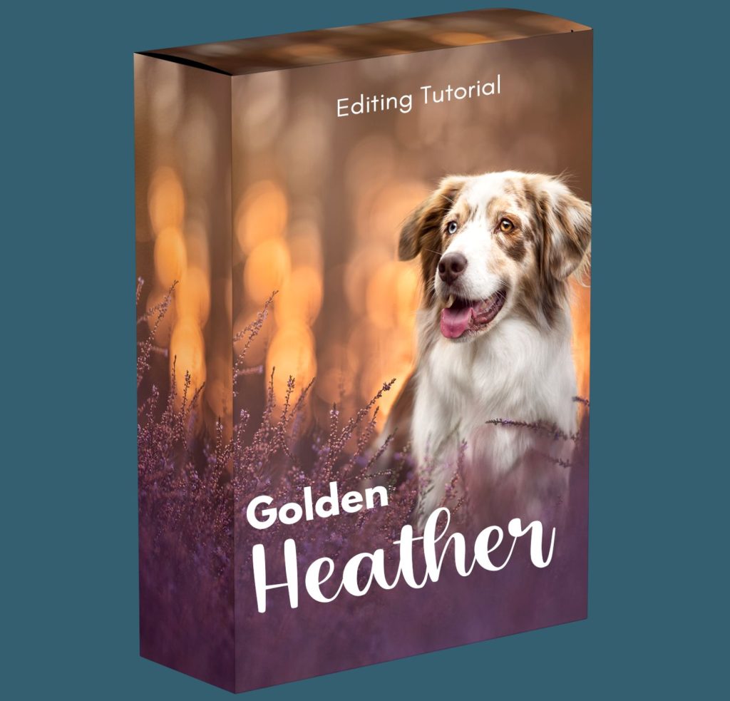 Editing Tutorials & Courses - Inspawration Photography