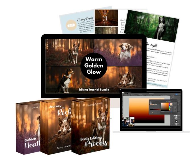 Editing Tutorials & Courses - Inspawration Photography