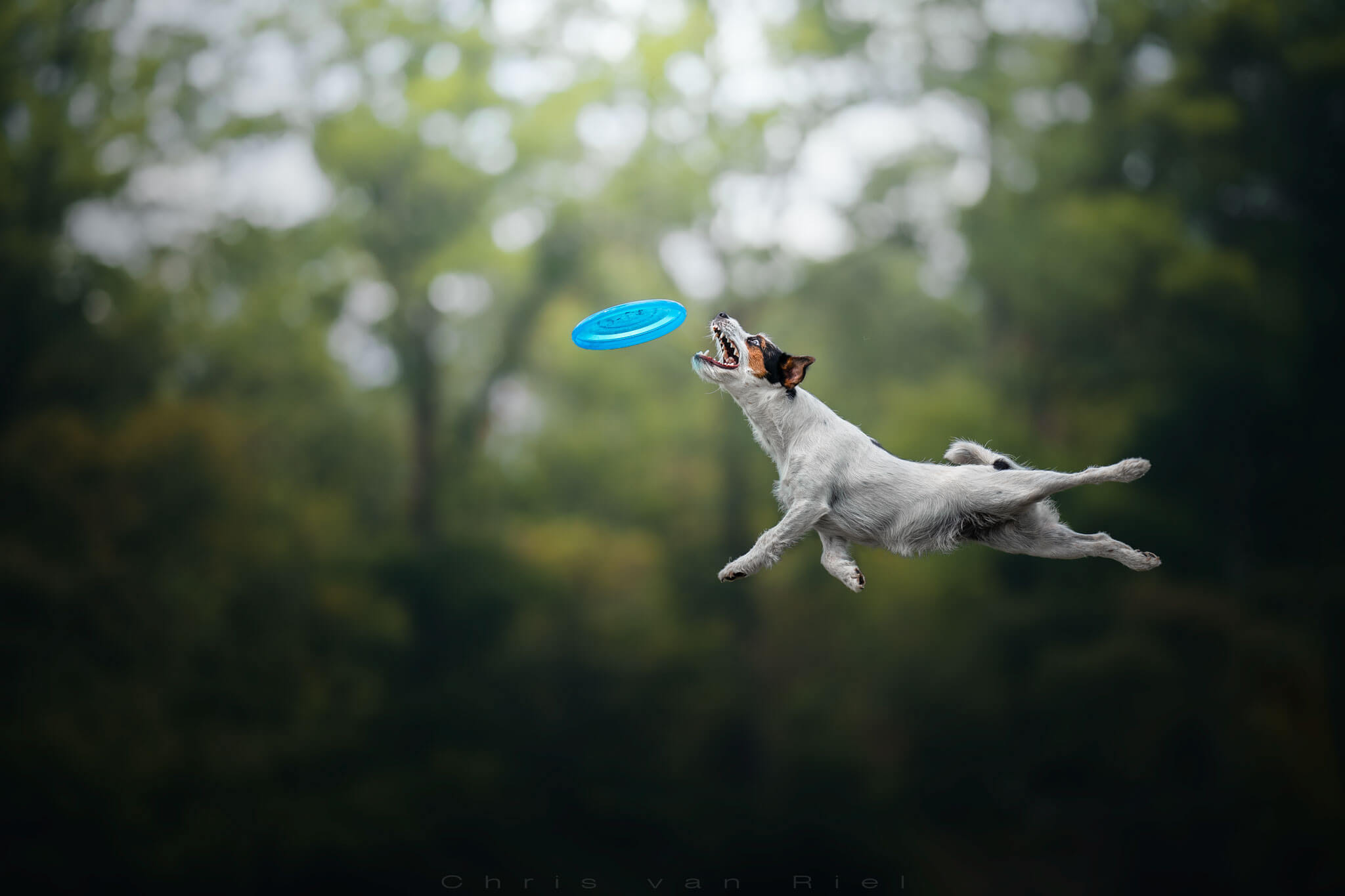 Action Photography Webinars with Chris van Riel - Inspawration Photography