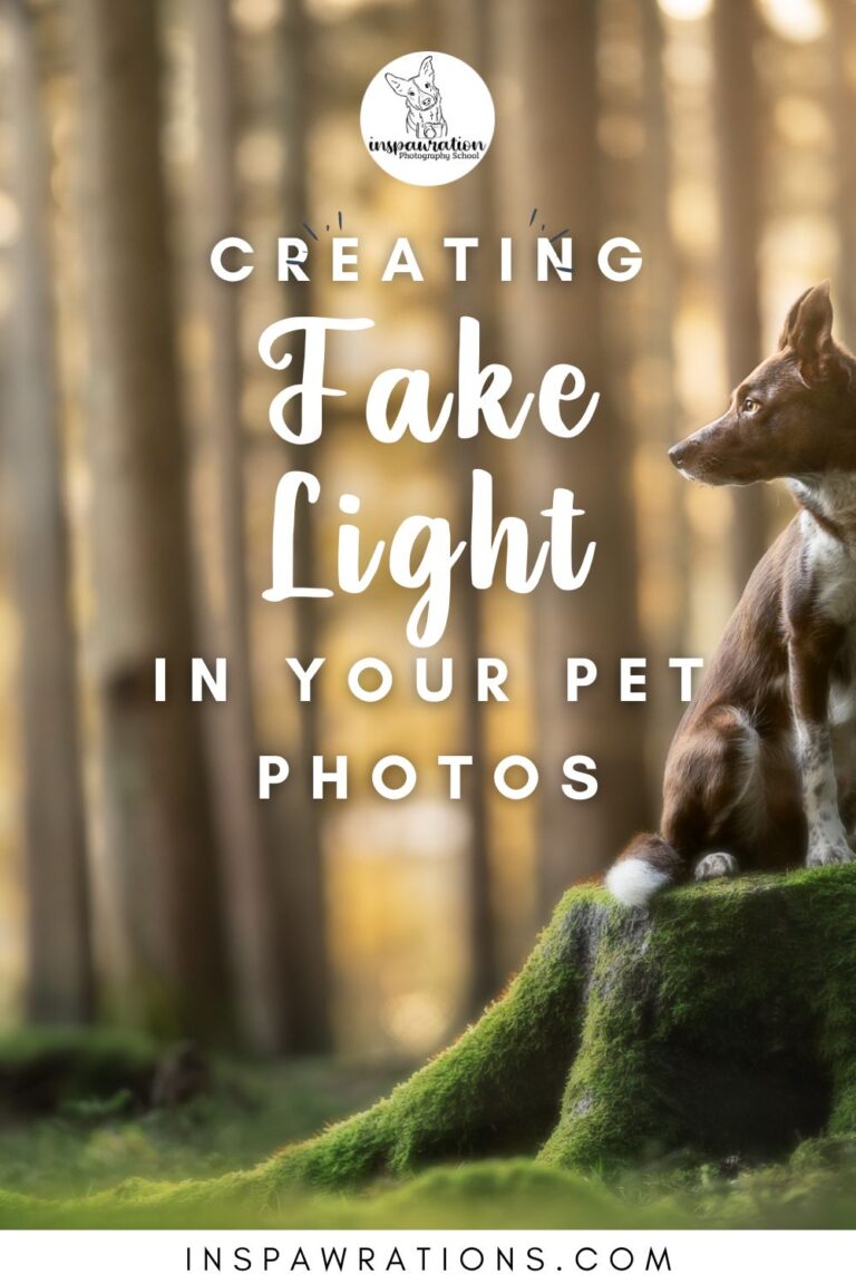 How to Edit Fake Light In Photos - Inspawration Photography