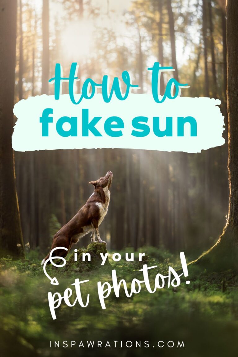 How to Edit Fake Light In Photos - Inspawration Photography