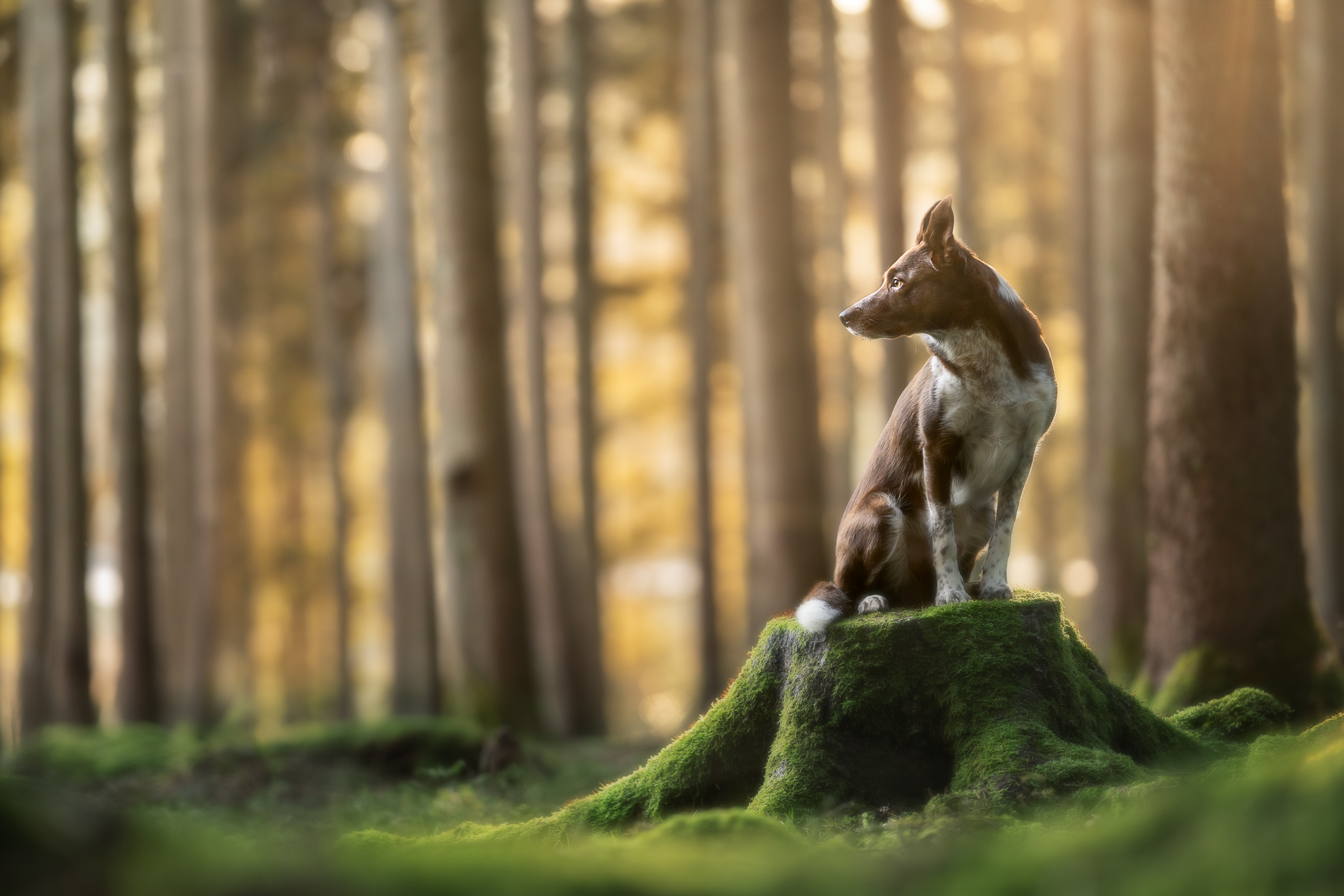 How to Edit Fake Light In Photos - Inspawration Photography