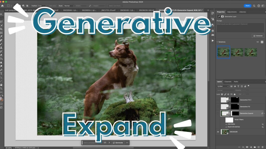 Expand Your Image with Generative Expand - Inspawration Photography