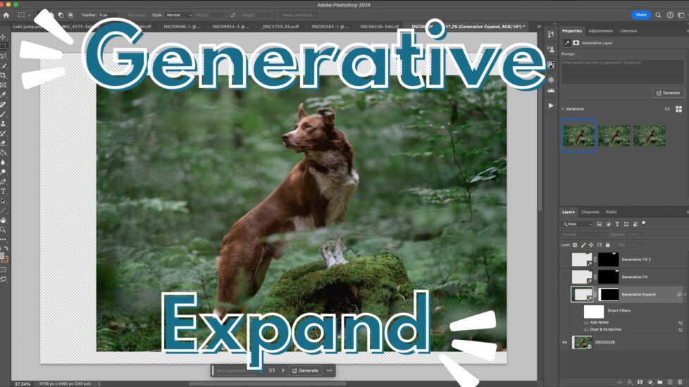 Expand Your Image with Generative Expand - Inspawration Photography