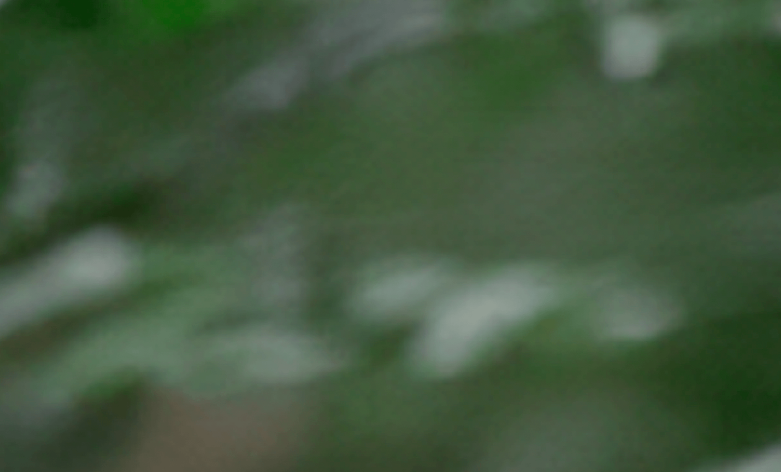 Expand Your Image with Generative Expand - Inspawration Photography