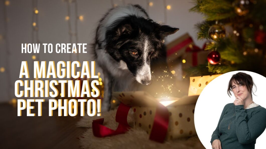 Quick & Magical Christmas Pet Photo Tutorial! - Inspawration Photography